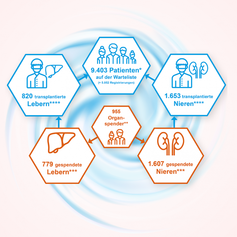 Ablauf einer Organtransplantation » Von der Diagnose bis zur OP
