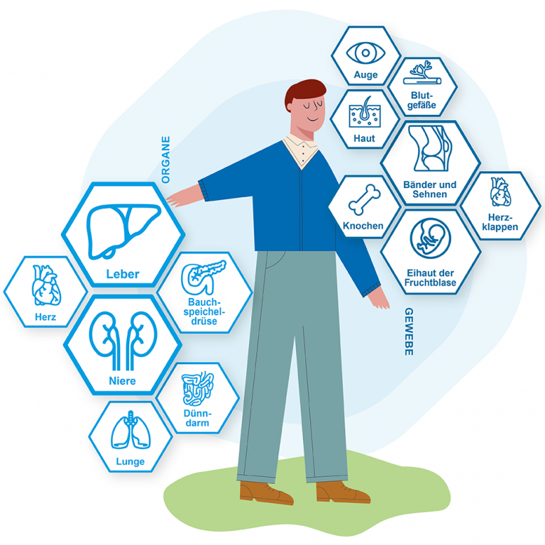 Infektionsrisiken im Blick – Sicher durch das Leben nach der ...